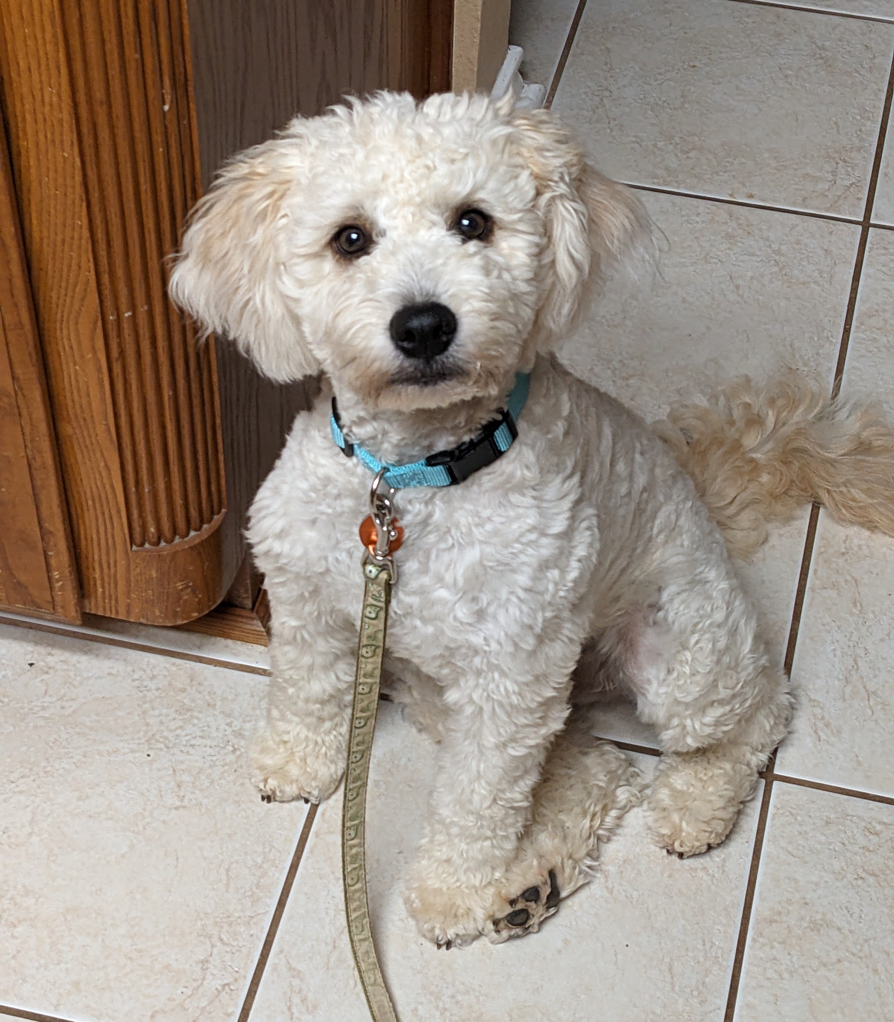 We love you, Win-Win. But it’s just not working out. 😢 💔 – A Life of Words